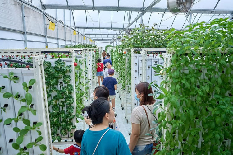 Farm Tours and Workshops – Greenhood